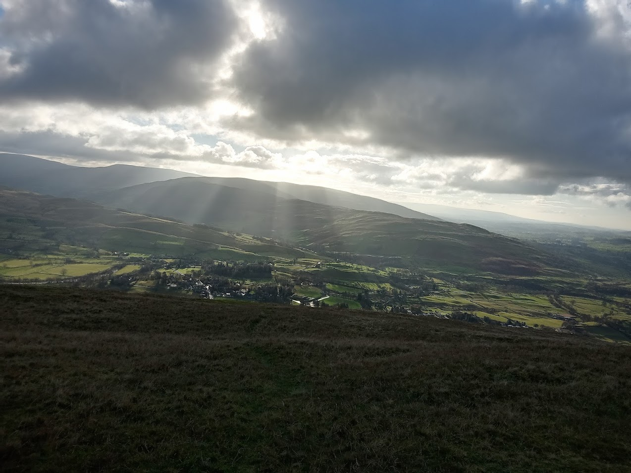 Prayers from Amos – Joshua's Tree Rooted