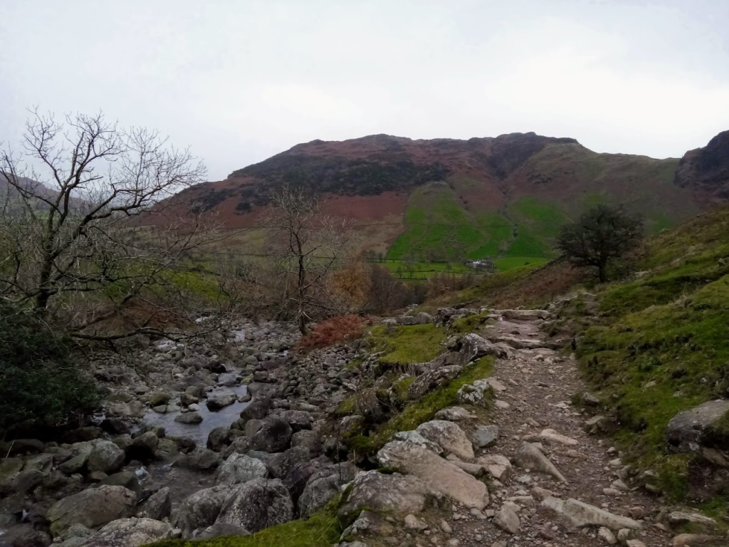 Lenten Walk to Resurrection Sunday through Isaiah – Joshua's Tree Rooted